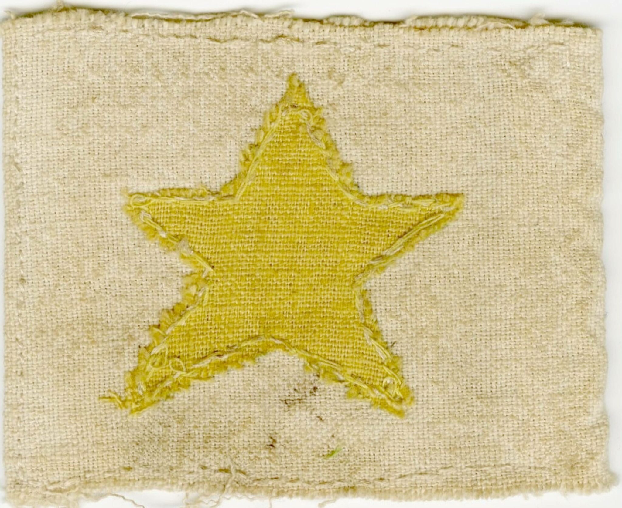 Home - DYNASTY AUCTIONS