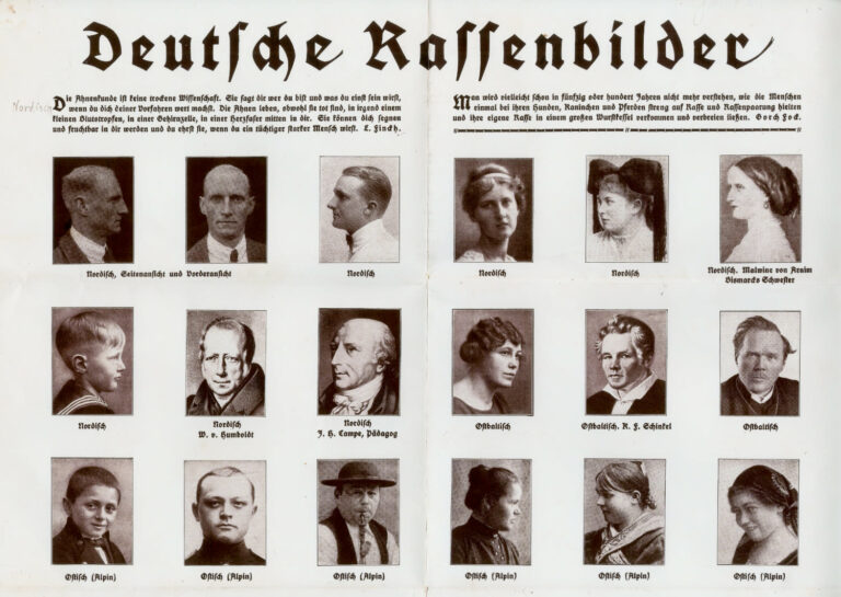 Large poster - Chart for teaching racial theory in Nazi Germany ...