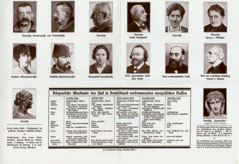 Large poster - Chart for teaching racial theory in Nazi Germany ...